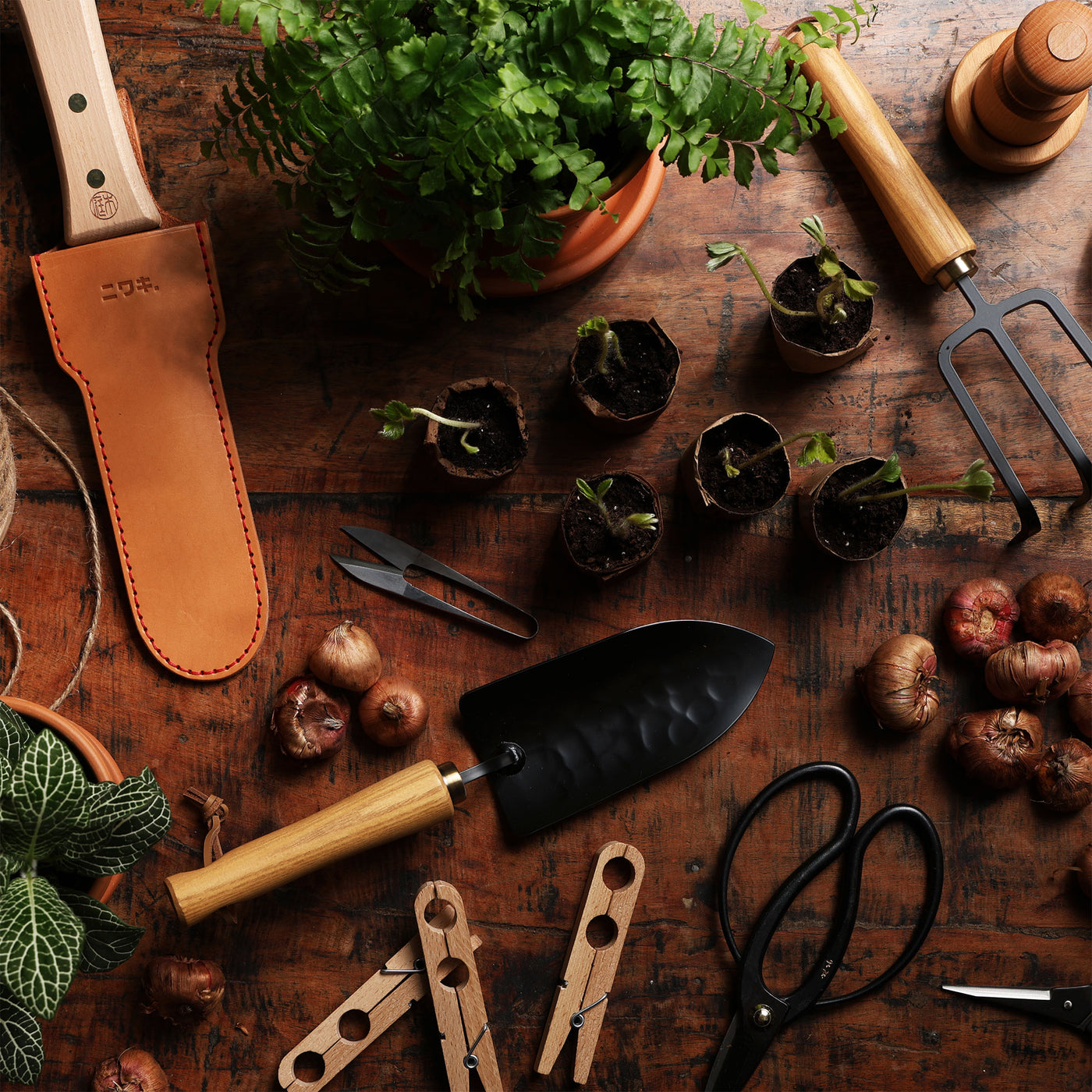 Boston General Store | Purveyors of high-quality goods for the home