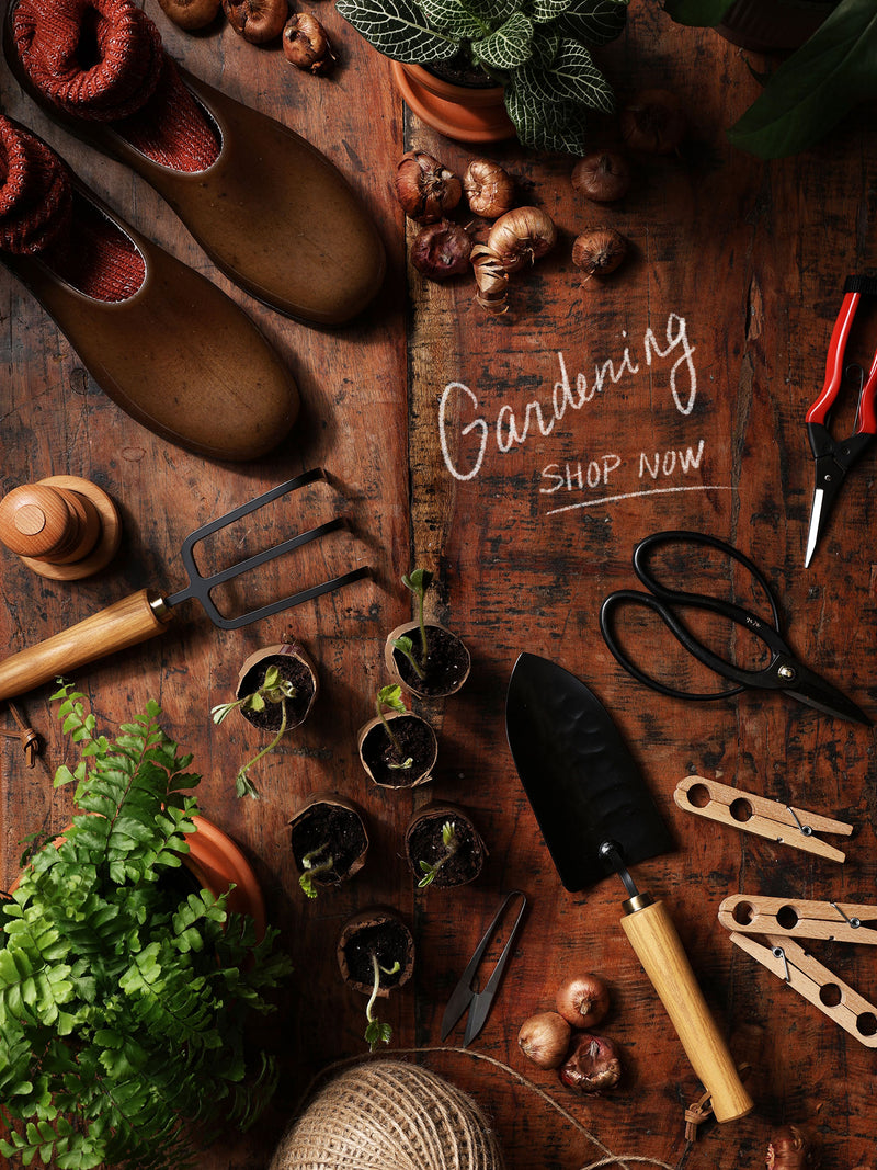 Boston General Store | Purveyors of high-quality goods for the home